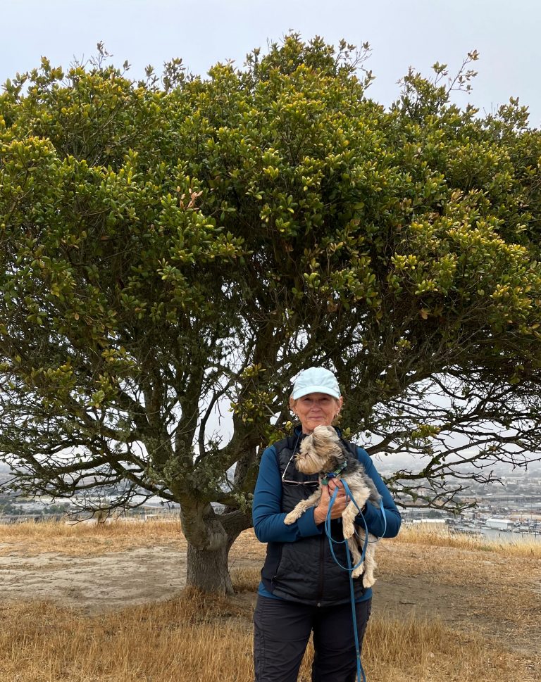 Reprioritizing Life After A COVID 'Hard Stop' - Dynamic Aging 4 Life ...